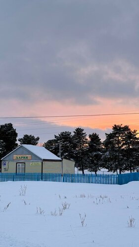 Market Dariya, Akmola eyaleti, foto
