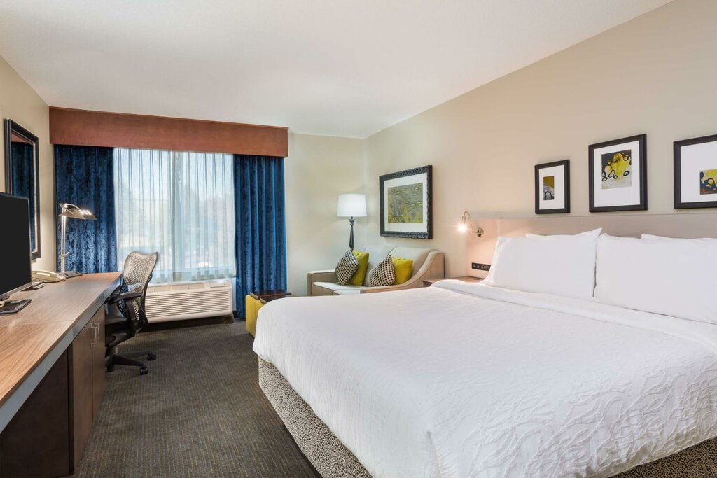 Otel Hilton Garden Inn Westbury, New York Eyaleti, foto