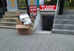Nə Alsan 1 Azn (Seyid Cefer Pisevеri Street No:98, Nesimi District), mini-market  Bakü'den