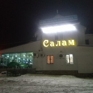 Салам (Chelyabinsk Region, Sosnovskiy rayon, Alishevskoye selskoye poseleniye, selo Kaygorodovo), kafe  Çeliabinskaya oblastından