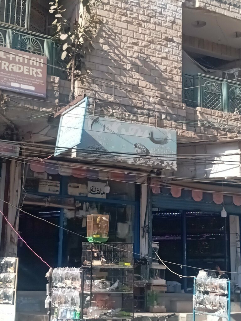 Ev temizlik ürünleri M Fish, Rawalpindi, foto