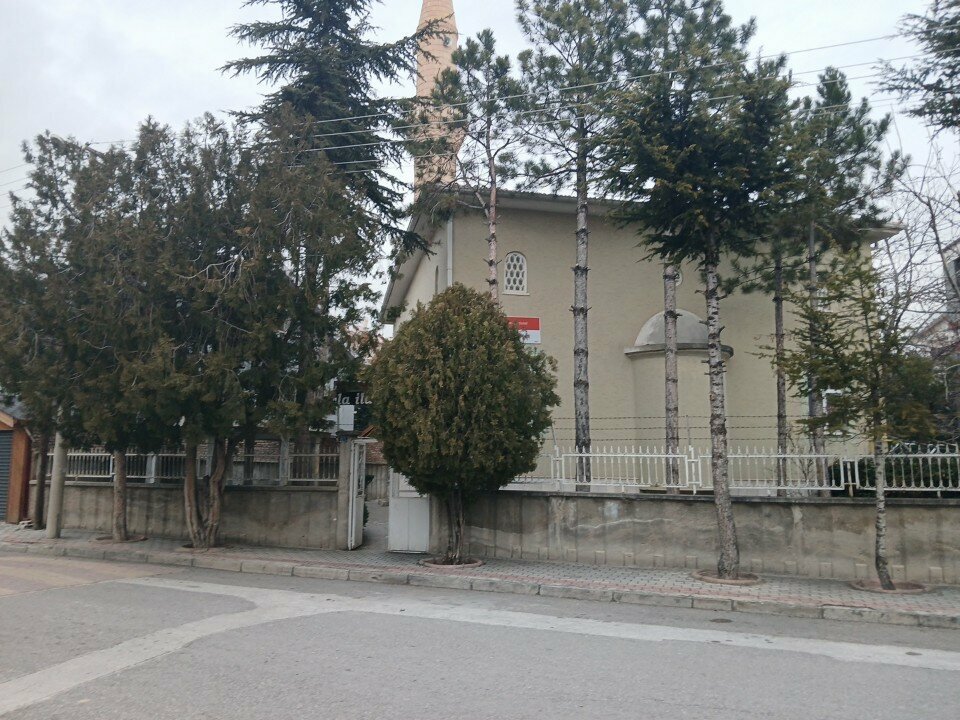 Muhtarlıklar Alavardı Mahalle Muhtarlığı, Konya, foto