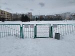 Стадион (Altai Territory, Barnaul, Industrialny rayon), stadyum  Barnaul'dan