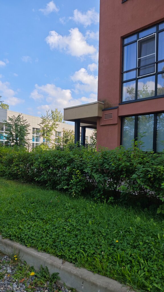 Evlerin ve sitelerin gazlaştırılması Rzg, Vsevolgsk, foto