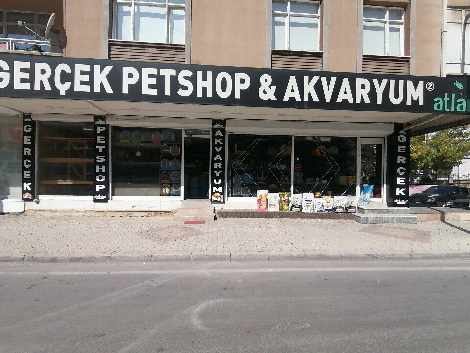 Petshop Gerçek Pet Shop Akvaryum, Konya, foto