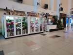 ЦветОк (ulitsa 70 let Oktyabrya No:25к2), çiçekçiler  Omsk'tan
