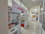 Pes i Kot (Shyńǵys Aıtmatov kóshesi No:36), petshop  Astana'dan