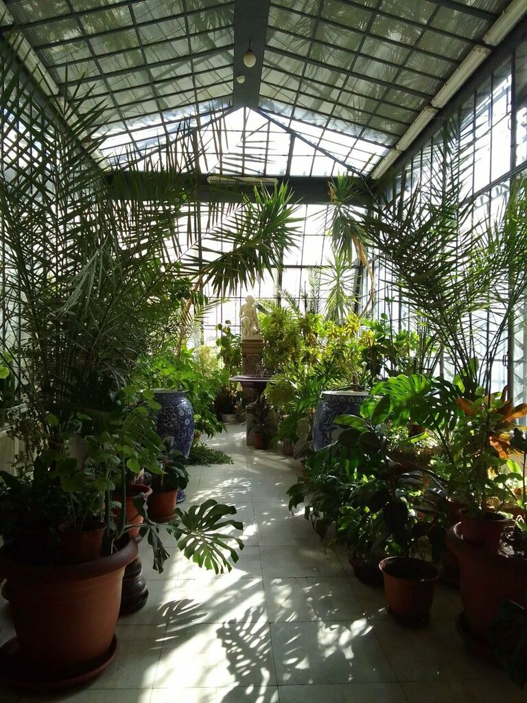 Geziler Privalov Net, Krasnoyarski krayı, foto