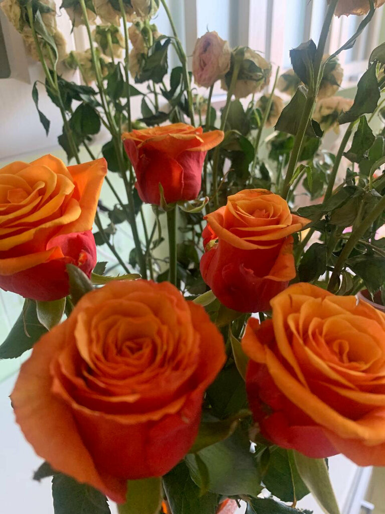 Çiçekçiler Салон моды, Kislovodsk, foto