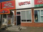 Рускус (Generala Popova Street No:2/1к4), çiçekçiler  Kaluga'dan