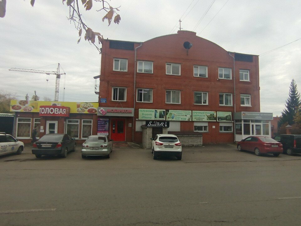 Nargile kafeler Sova, Biysk, foto