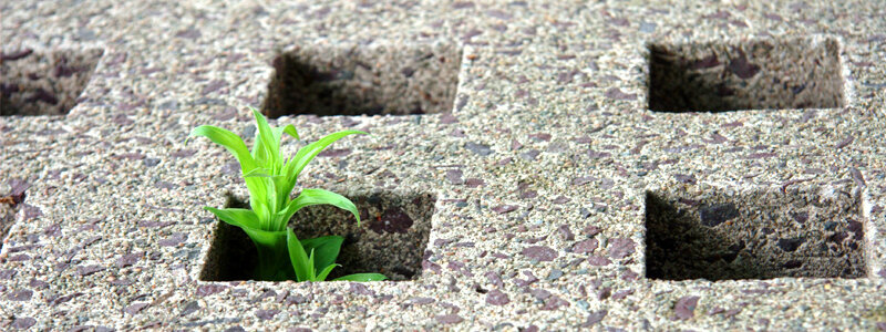 Çimento firmaları Ertan Çimento, Ergene, foto