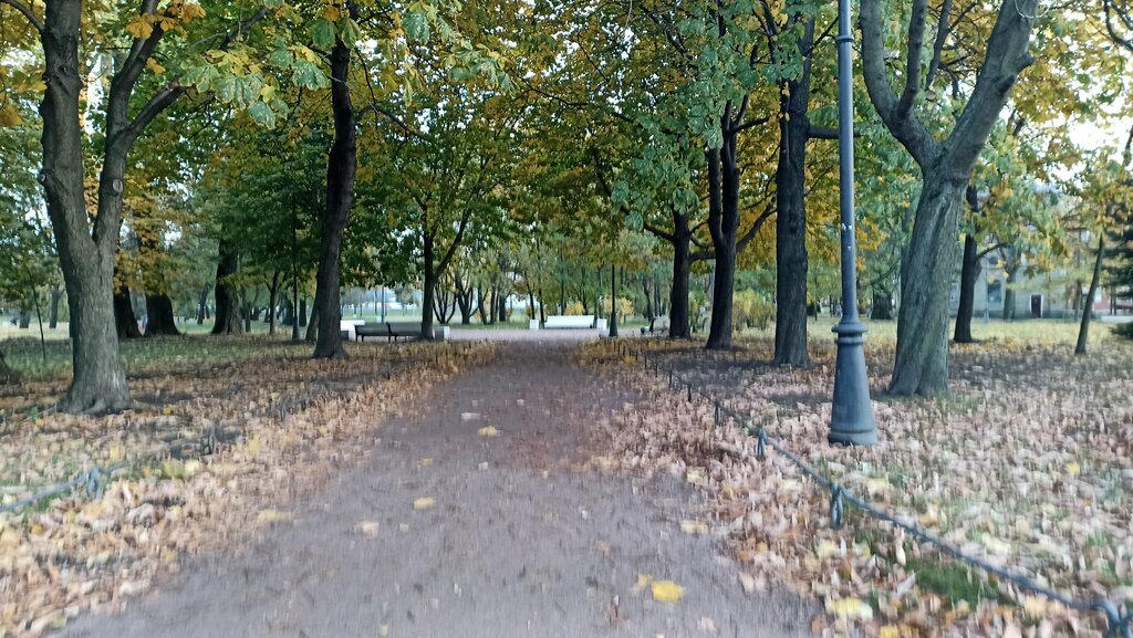 Bank Bench, Saint‑Petersburg, foto