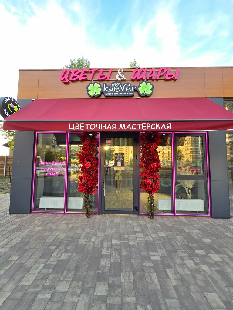 Çiçekçiler Klever, Krasnodar, foto