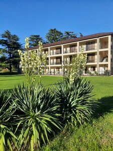 Emili (Autonomous Republic of Abkhazia, Town of Bichvinta), otel  Pitsunda'dan