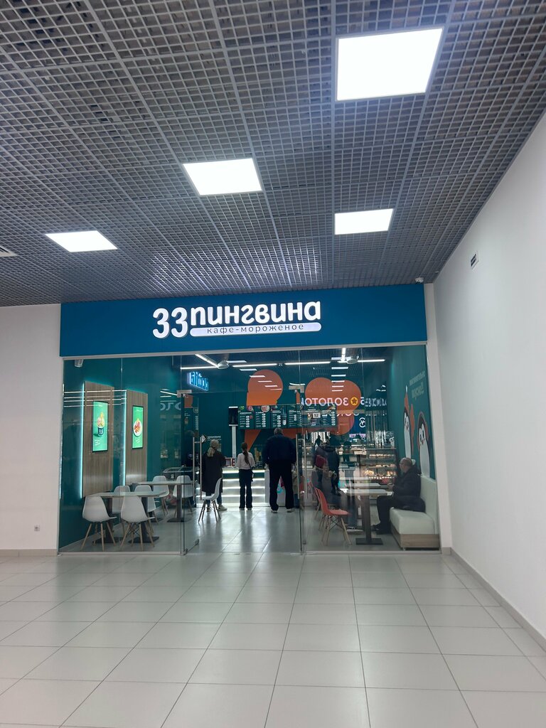 Dondurmacılar 33 пингвина, Yeysk, foto