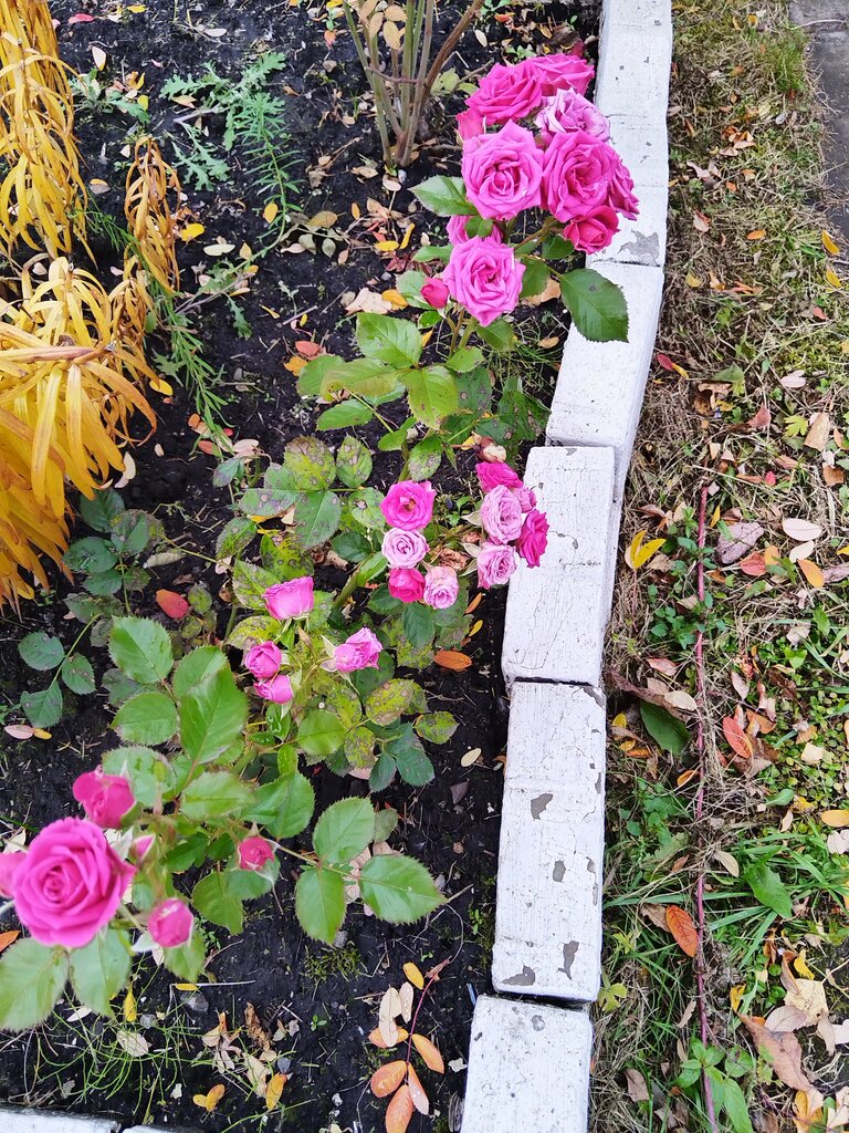 Petrol ürünleri üreticileri Нефтеперекачивающая станция Кемчугская, Krasnoyarski krayı, foto