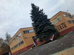Spetsialnaya shkola-sad I-ii vida (Aviatsionnaya ulitsa No:30), anaokulları  Briansk'tan