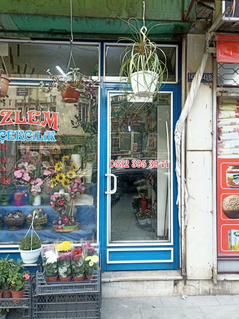 Çiçekçiler Özlem Çiçekçilik, Konya, foto