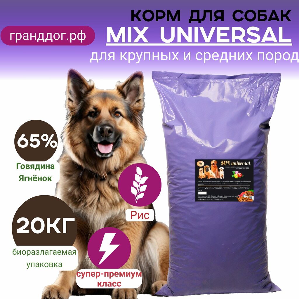 Petshop Grand Dog, Saint‑Petersburg, foto