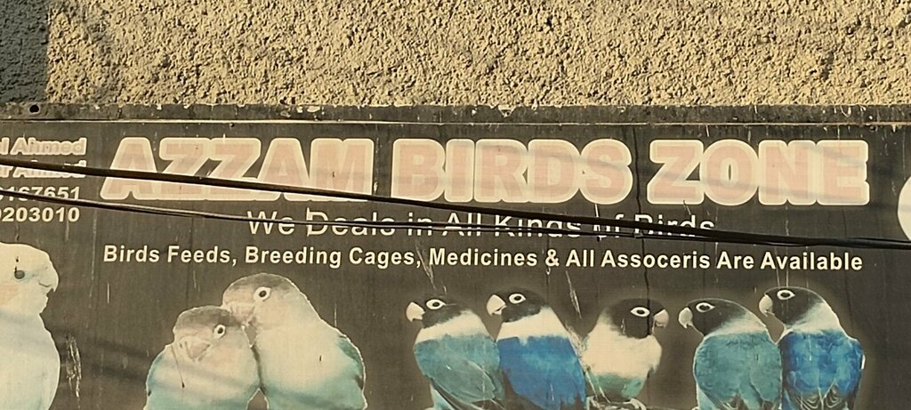 Petshop Azam birds zone, Karaçi, foto