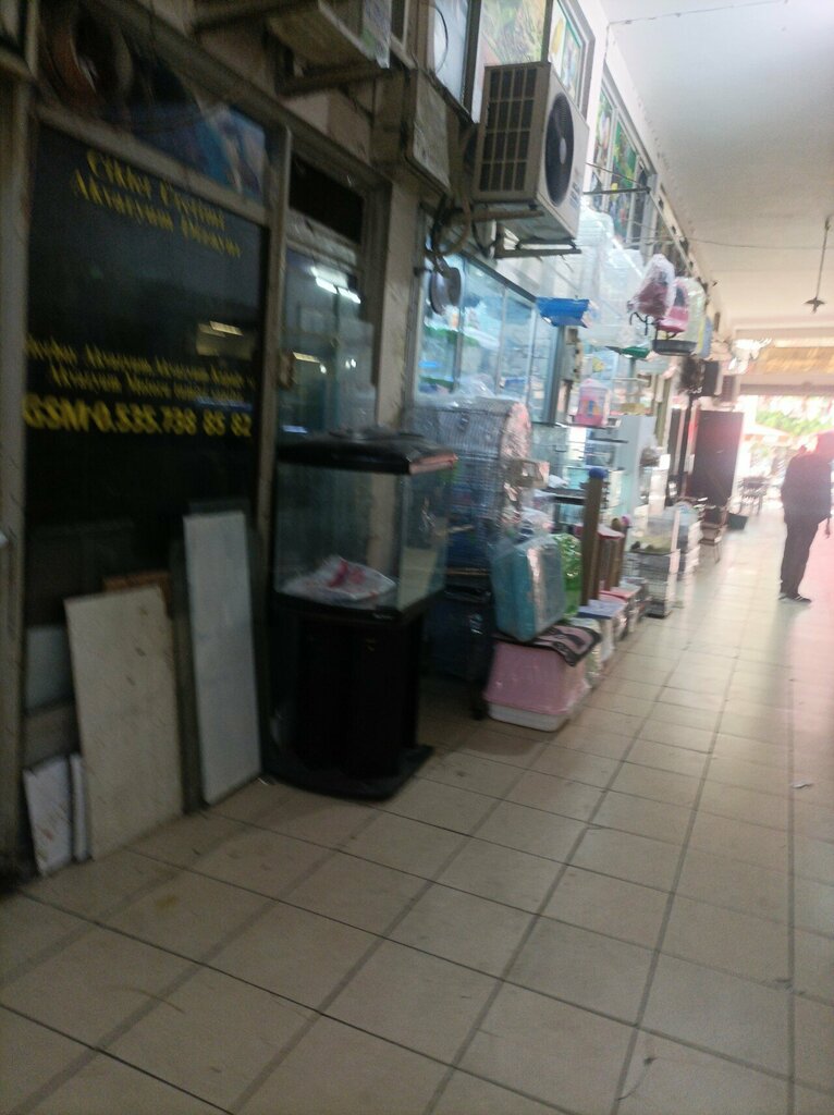 Petshop Akvaryum, Antalya, foto