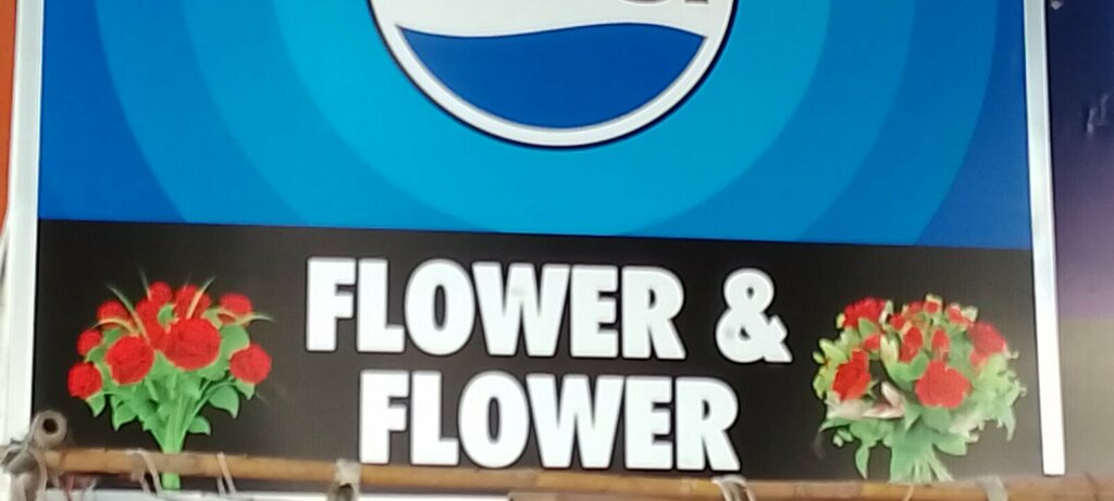 Çiçekçiler Flower and flower, Karaçi, foto