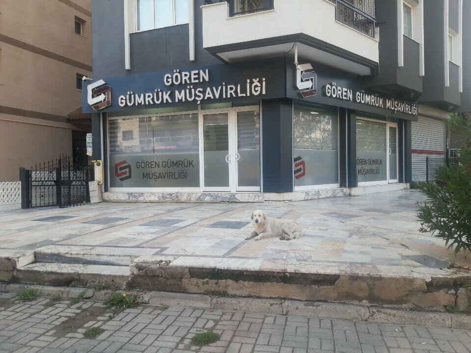 Gümrük hizmetleri Gören Gümrük Müşavirliği, İzmir, foto