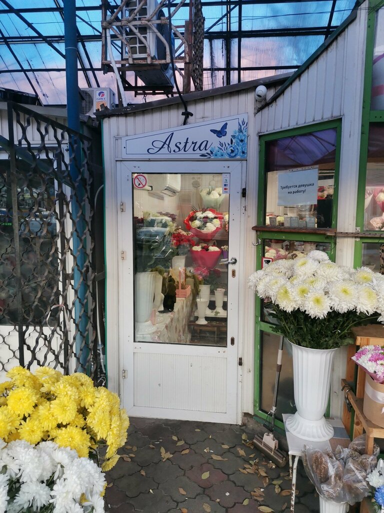 Çiçekçiler Astra Flowers, Beltsi, foto