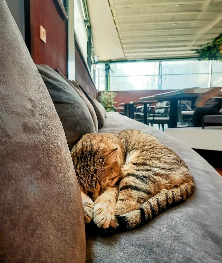 Kafe The Monk Cafe, Salihli, foto