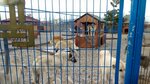 Erzurum Hayvan Barınağı (Üniversite Mah., Çat Yolu Cad., Palandöken, Erzurum), hayvan barınakları, kulüpleri ve otelleri  Aziziye'den