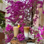 Cafe Levante House (Mersin, Akdeniz, İstiklal Cad., 29), kafe  Mersin'den