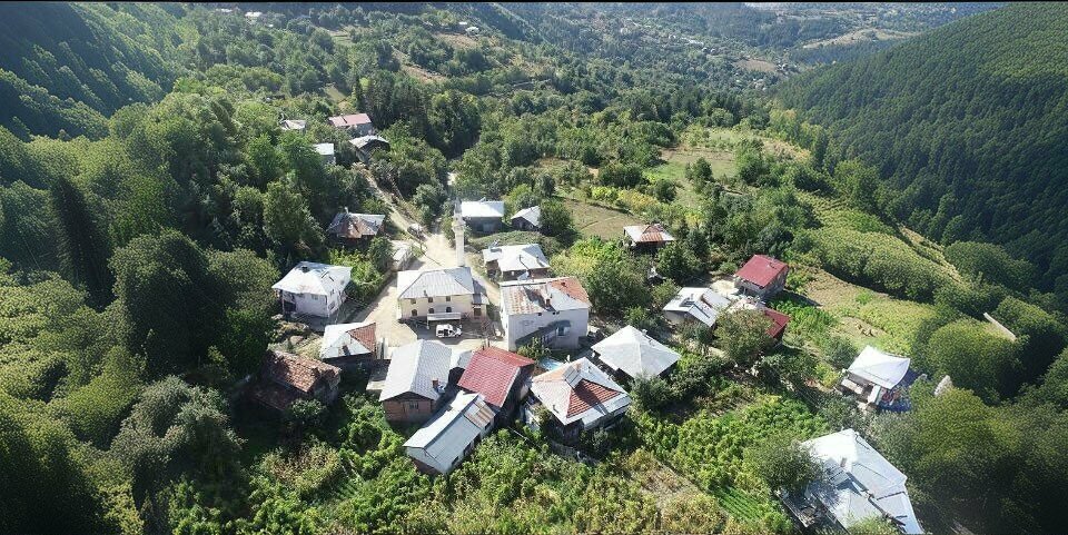 Muhtarlıklar Dursun Köy Muhtarlığı, Bozkurt, foto