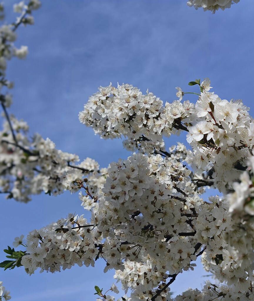 Kültür ve eğlence parkları Attila İlhan Parkı, Ankara, foto