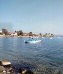 Çardak Cafe Plaj (İzmir, Foça, Fevzi Çakmak Mah., Mimoza Sok., 1), kafe  Foça'dan