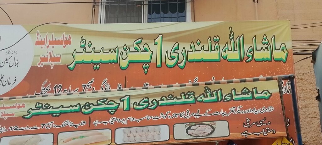 Kanatlı hayvan ürünleri ve yumurta Mashallah qulandri chicken, Karaçi, foto