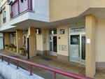 Моjа дружина (Timocke Divizije No:7), çocuk gelişim merkezleri  Belgrad'dan