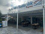 Alara Balıkçılık Express (Antalya, Kepez, Fabrikalar Mah., Şehit Barış Akkabak Cad., 8T), restoran  Antalya'dan