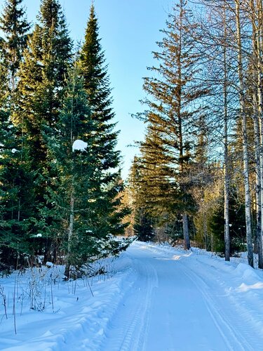 Tatil köyleri Лесная Даль-Аламбай, Altayski krayı, foto