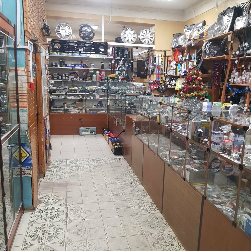 Otomobil yedek parçaları Ip Davydov, Voskresensk, foto