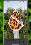 D S Çiçekçilik (Düzce, Gümüşova, Yeni Mah., 401. Sok.), çiçekçiler  Gümüşova'dan