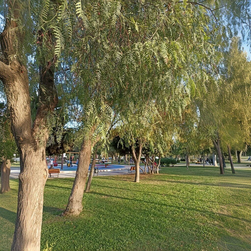 Kültür ve eğlence parkları Olof Palme Parkı, İzmir, foto