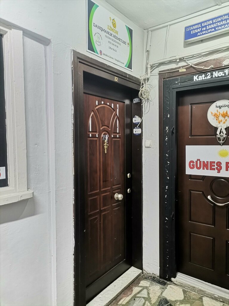 Danışmanlık hizmetleri Limon Danışmanlık Hizmetleri, İstanbul, foto