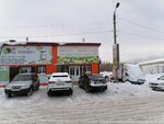Фруктовый сад (Republic of Bashkortostan, City of Neftekamsk), manavlar  Neftekamsk'tan