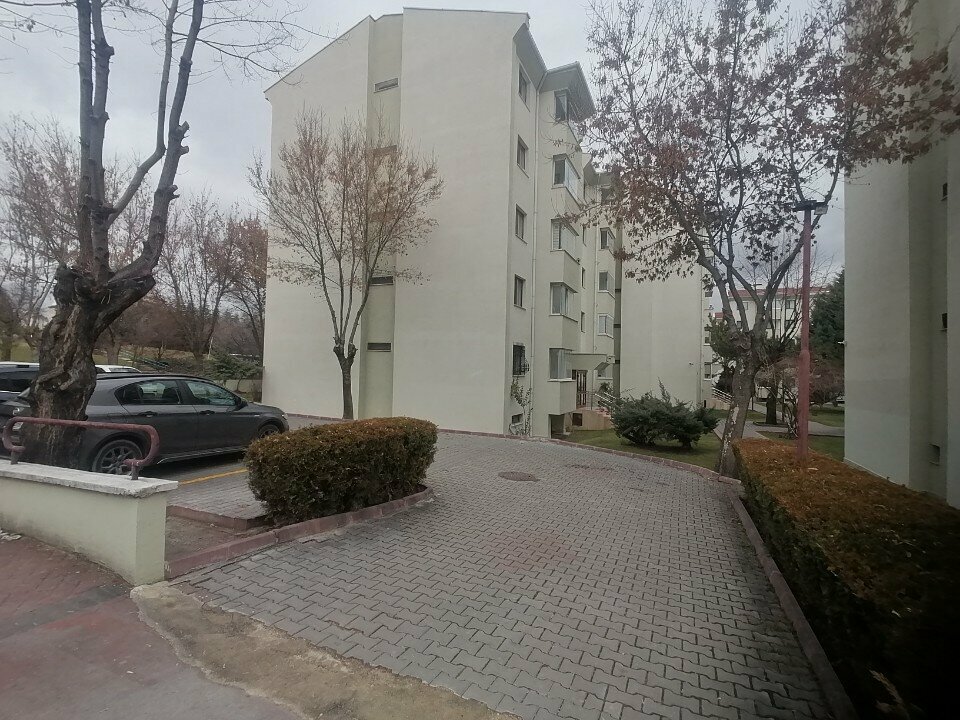 Soba, şömine Kuzu Concept, Ankara, foto