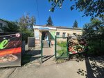 Vegetable and Fruit Department (Street named after Yevgeny Brusilovsky No:35), manavlar  Petropavl'dan (Petropavlovsk'tan)