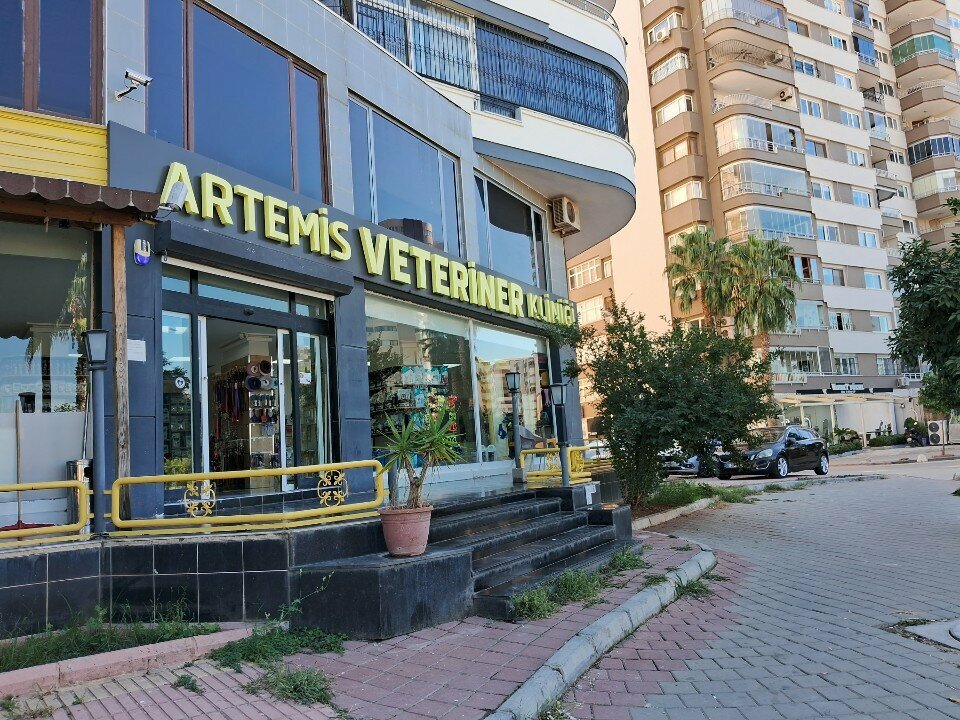 Veteriner klinikleri Artemis Veteriner Kliniği, Adana, foto