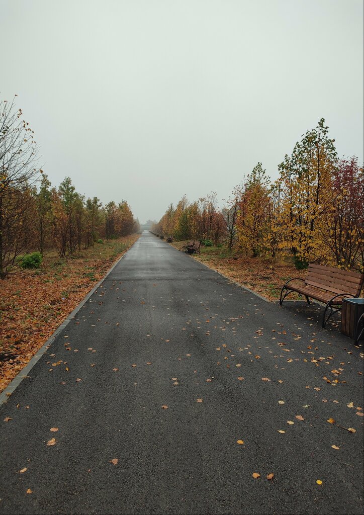 Kültür ve eğlence parkları Молодёжный сквер, Lipetskaya oblastı, foto