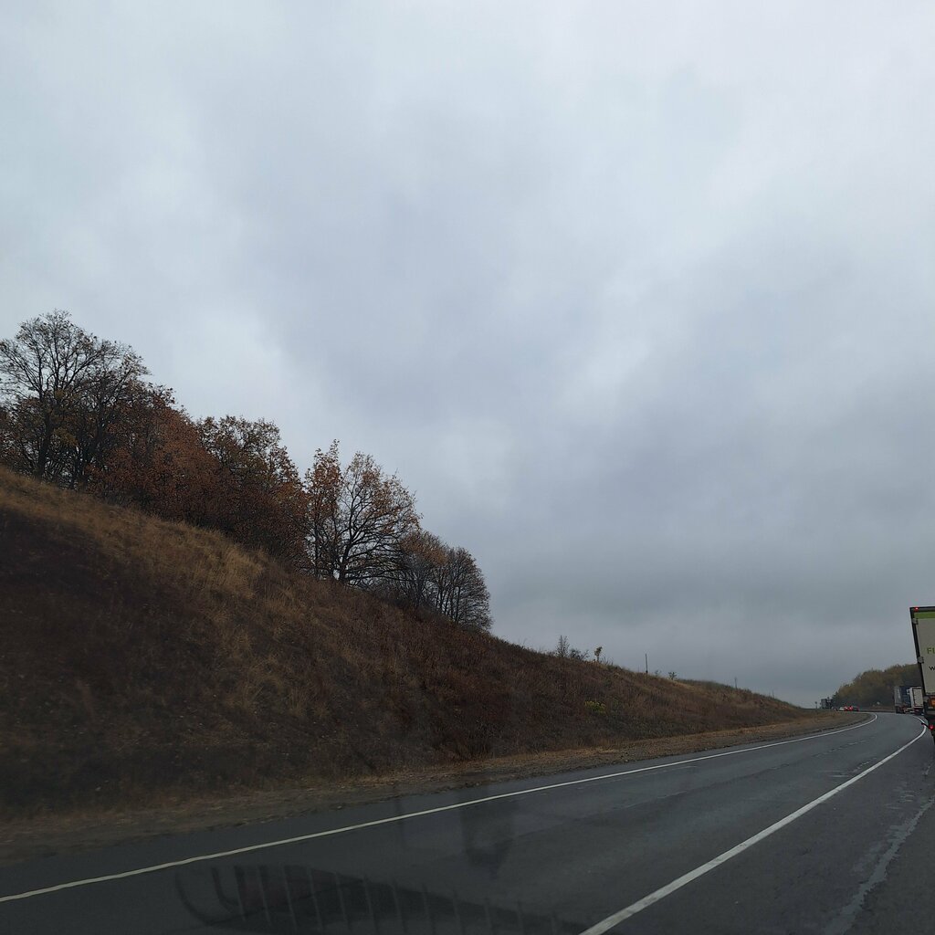 Doğa koruma alanı памятник природы Полчаниновский приусадебный парк, Saratovskaya oblastı, foto