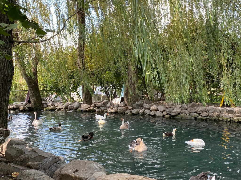Yönetim ofisi BioGarden, Şeki Rayonu, foto